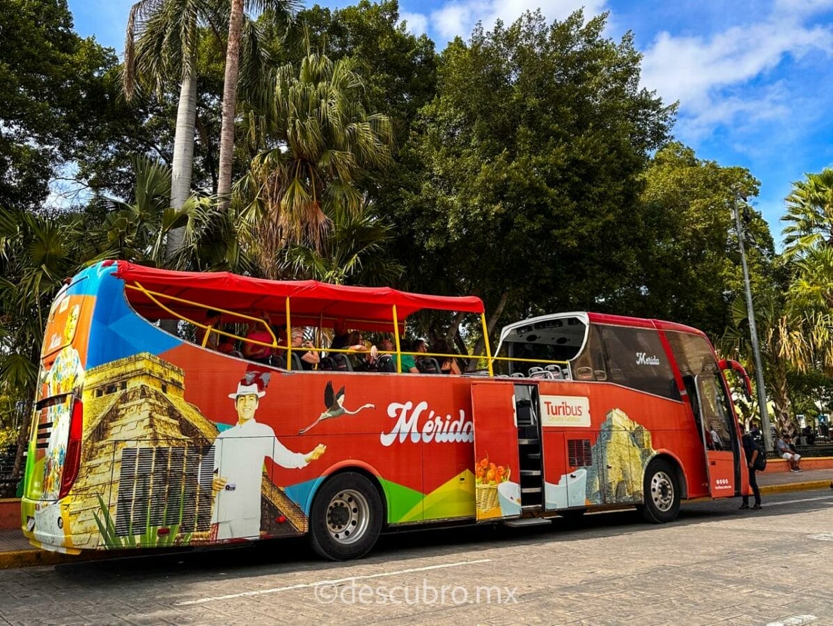 Actividades gratis en Mérida que puedes realizar cualquier día