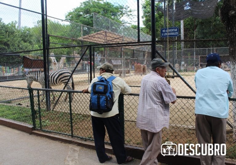 Disfruta del parque zoológico del Centenario en Mérida