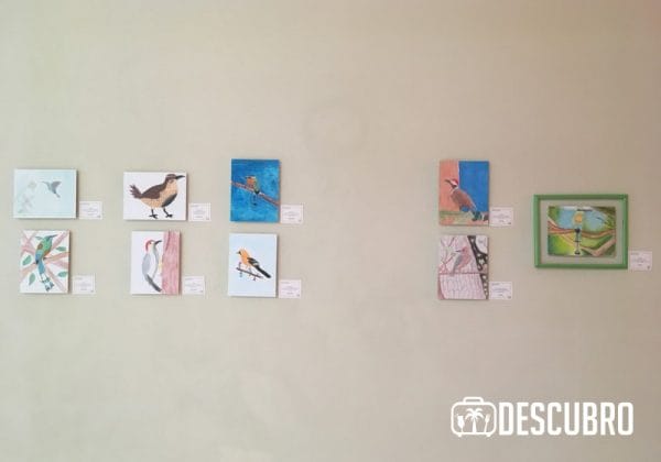 MACAY: Un museo emblemático en la ciudad de Mérida