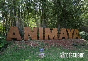 Animaya, un lugar lleno de especies, paisajes y aventura