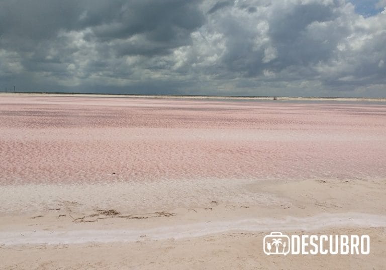 Las Coloradas en Yucatán, conoce los detalles para visitarlo