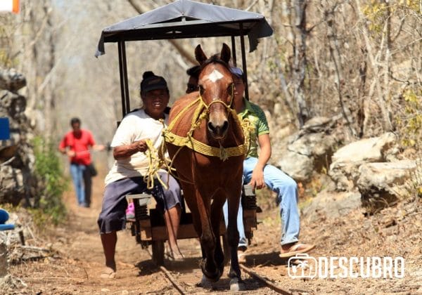 Disfruta de los cenotes de Cuzamá, un recorrido imperdible