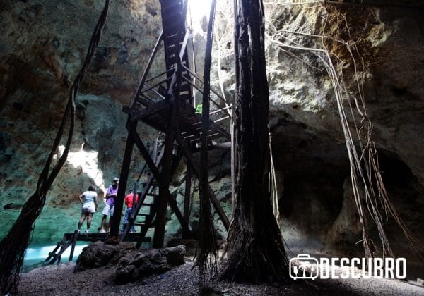 Disfruta de los cenotes de Cuzamá, un recorrido imperdible