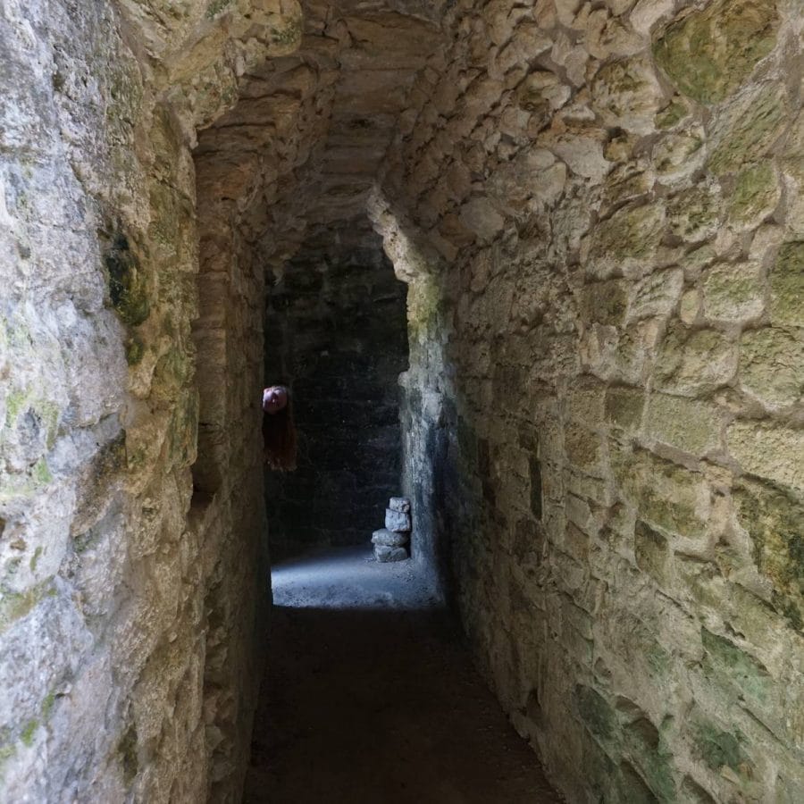 Conoce la ruta del Río Bec en Campeche