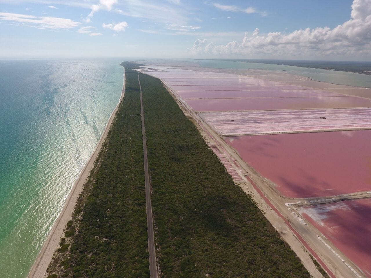 Las Coloradas en Yucatán, conoce los detalles para visitarlo