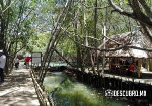 Visita a la reserva ecológica El Corchito en Progreso