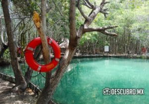 Visita a la reserva ecológica El Corchito en Progreso