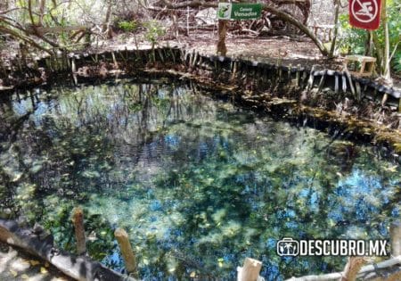 Visita a la reserva ecológica El Corchito en Progreso