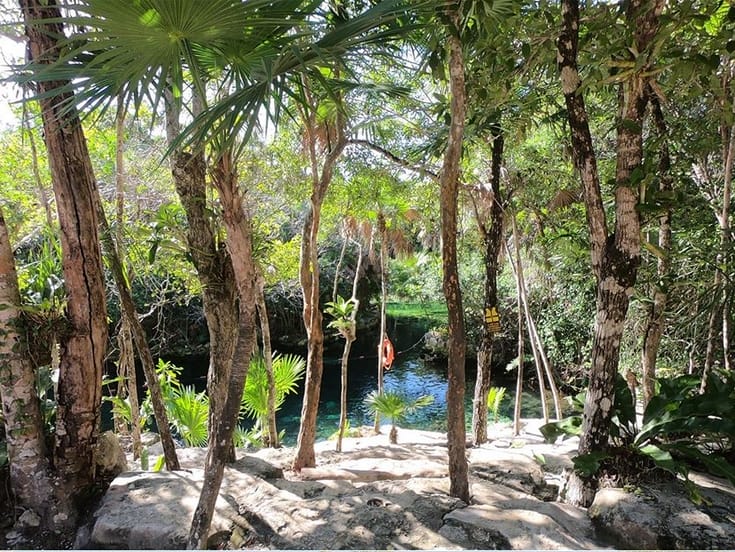 Yax Kin el cenote cerca de Tulum para disfrutar de un pasadía