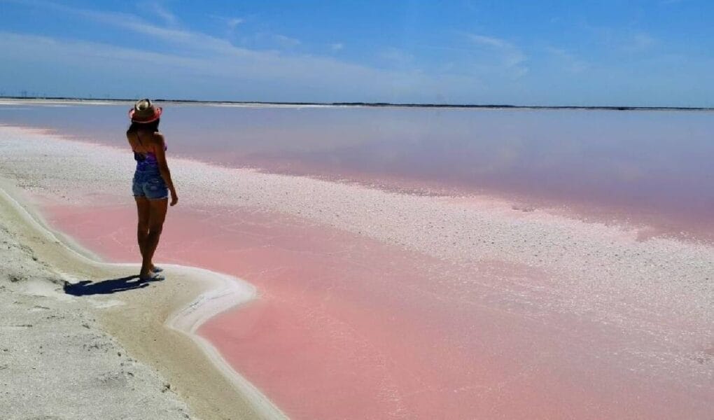 Las Coloradas, una experiencia para vivir en Yucatán - Descubro