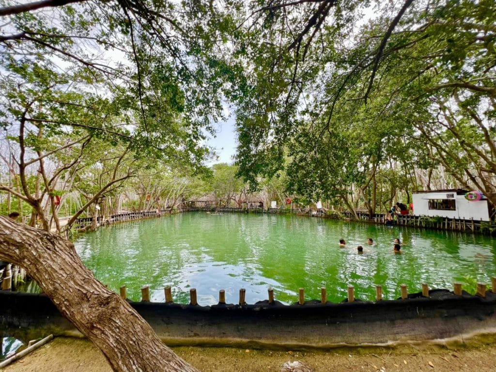 "El corchito", reserva ecológica cerca de Mérida