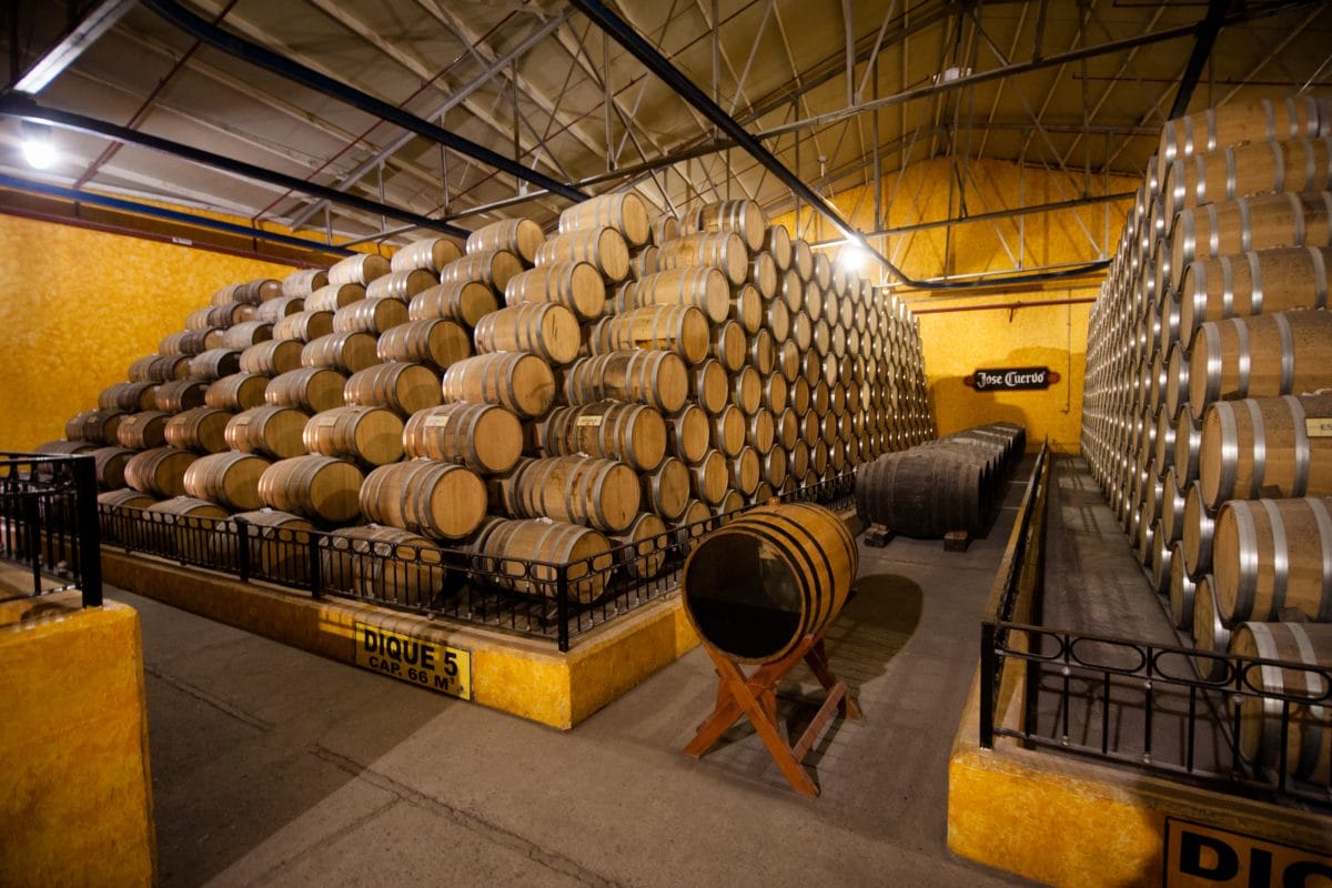 ¿Qué hacer en Tequila Jalisco? Cinco atractivos que debes conocer