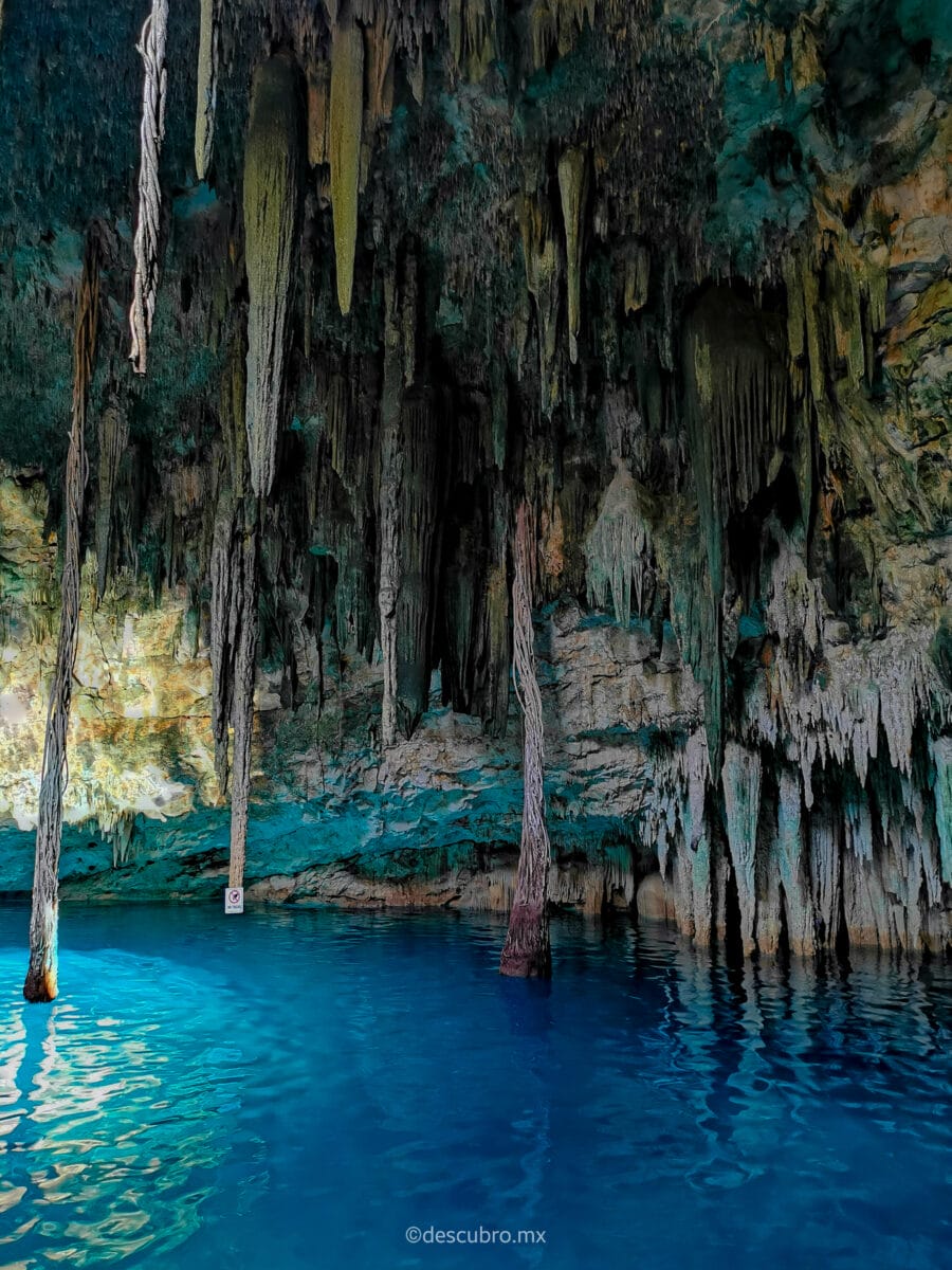 Cenote Santa Bárbara, increíble experiencia en Homún