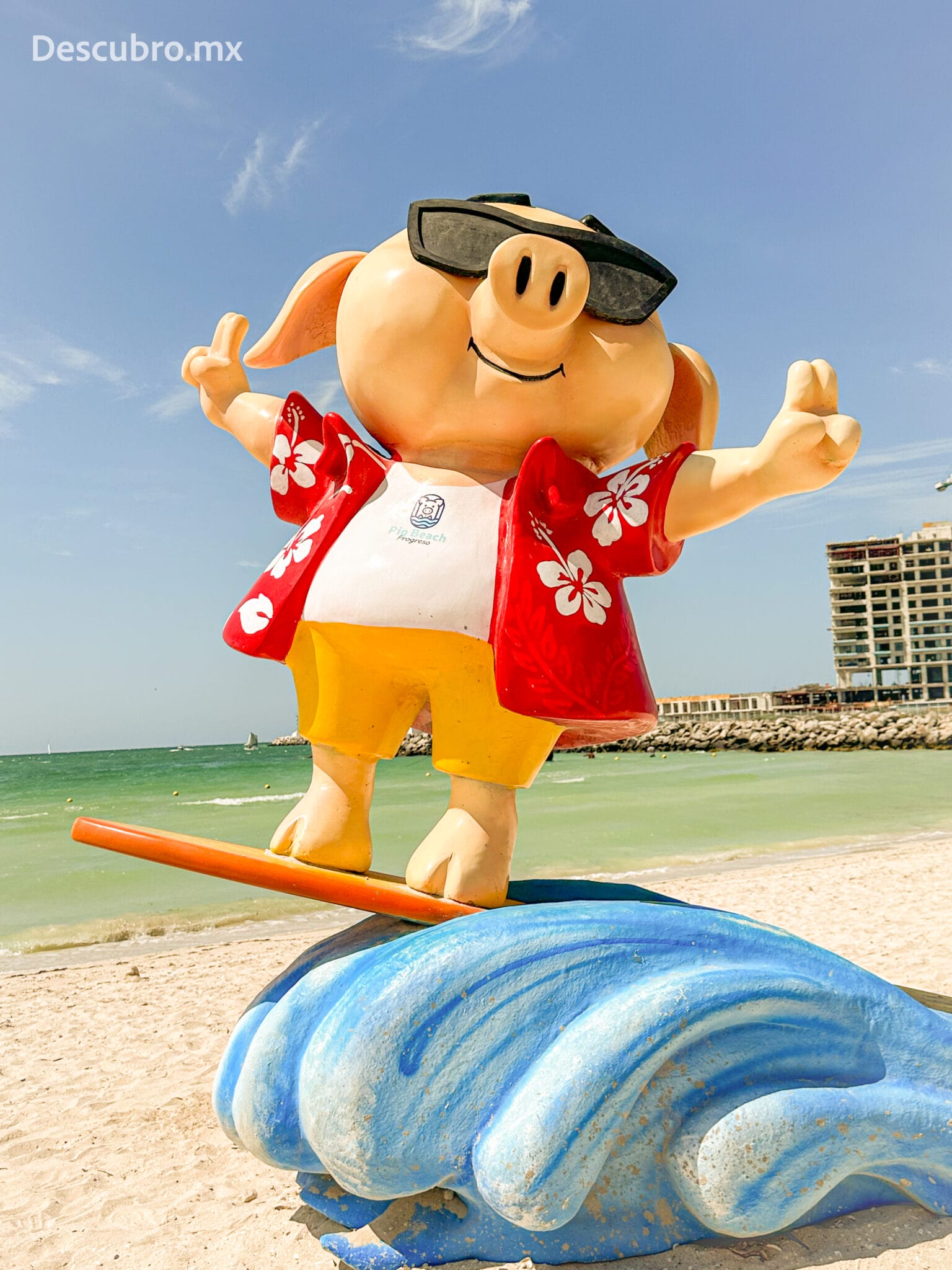Lo nuevo en Pig beach, playa de cerditos en Yucatán