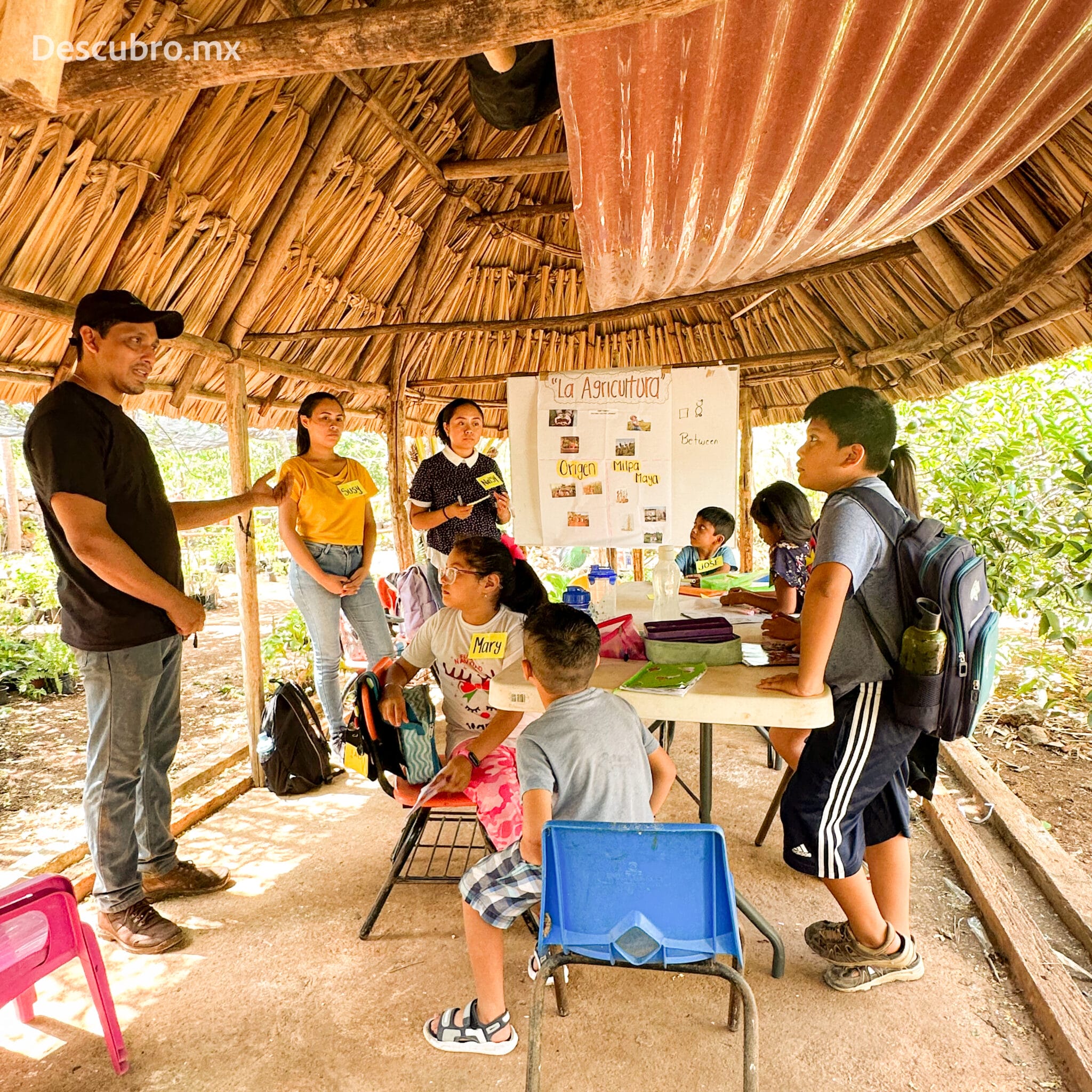 Conoce Solar Maya U lu'umil Kuxtal, aprende y cultiva tu alimento