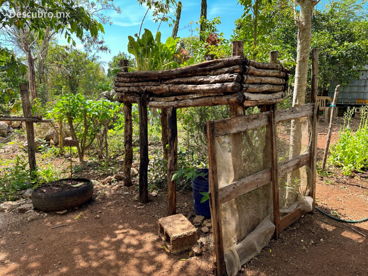 Conoce Solar Maya U lu'umil Kuxtal, aprende y cultiva tu alimento