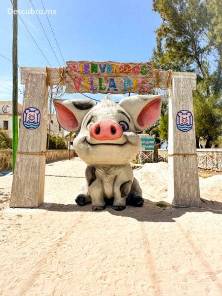 Lo nuevo en Pig beach, playa de cerditos en Yucatán