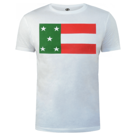 La Bandera de Yucatán, historia de un gran pueblo - Descubro