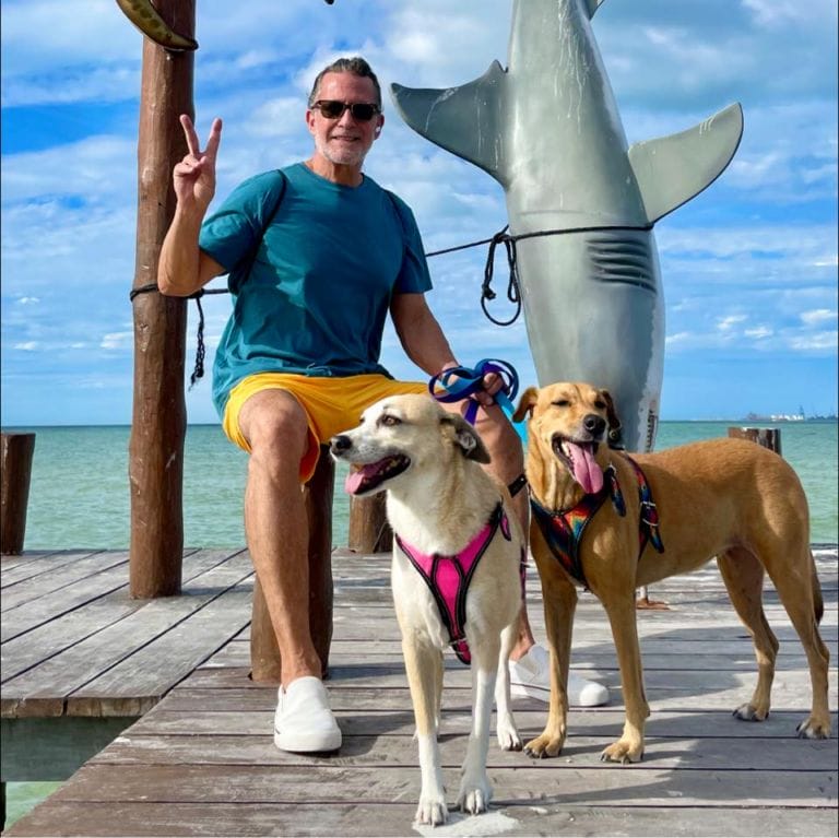 Perro Malix, qué es y por qué se llama así en Yucatán