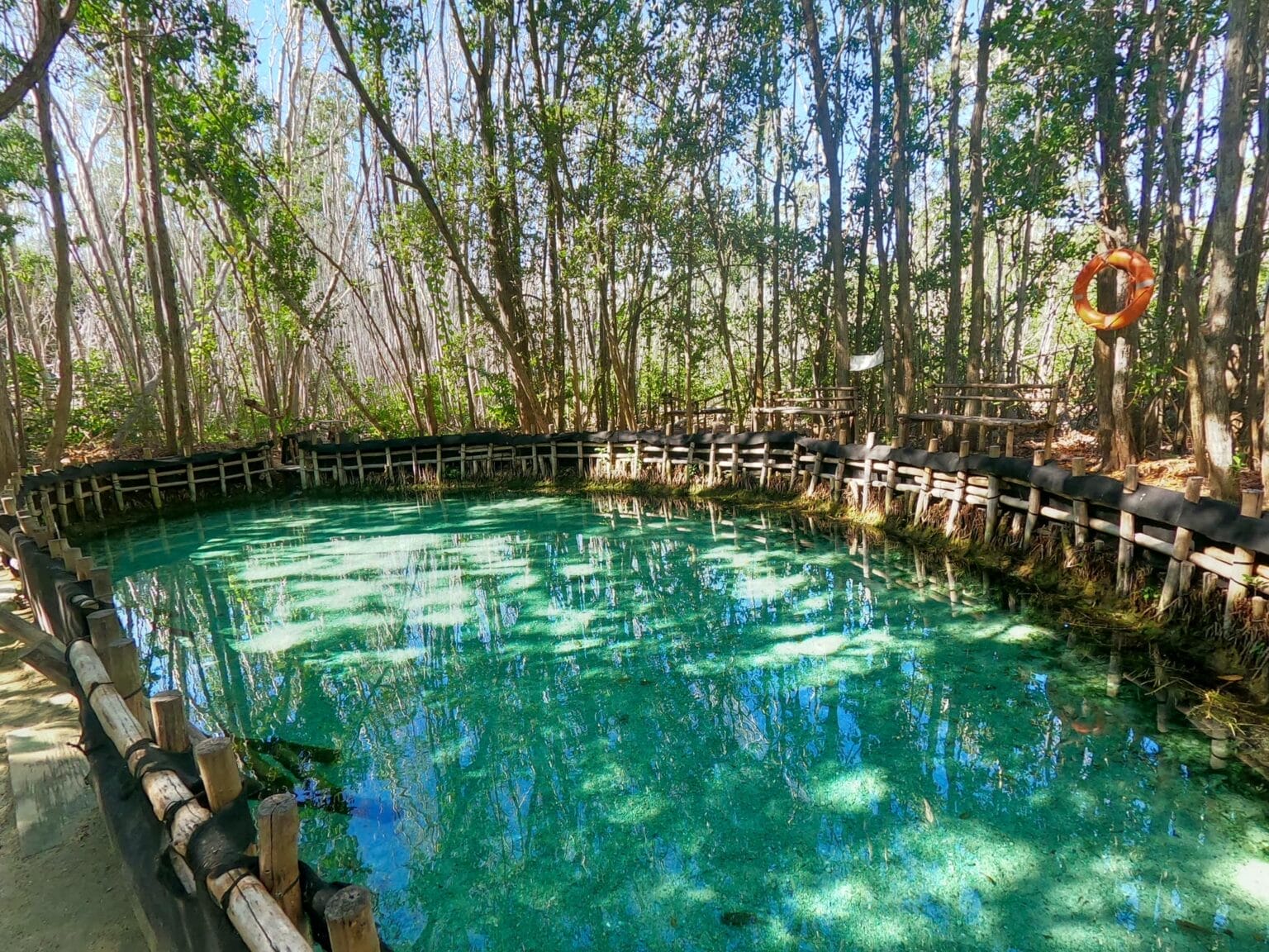 "El corchito", reserva ecológica cerca de Mérida