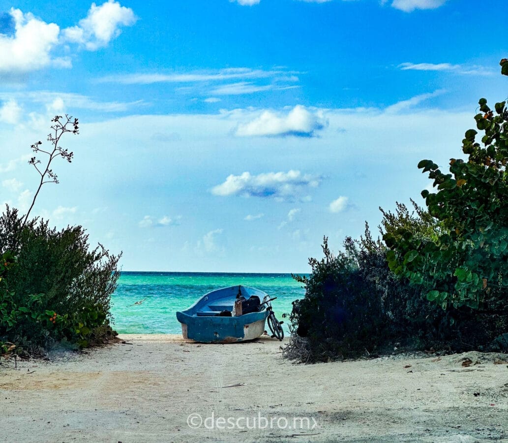 Conoce el puerto de Chelem, una joya de la costa yucateca