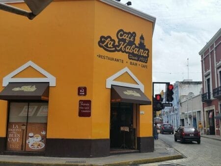 Cafeterías en Mérida que no puedes perderte - Descubro