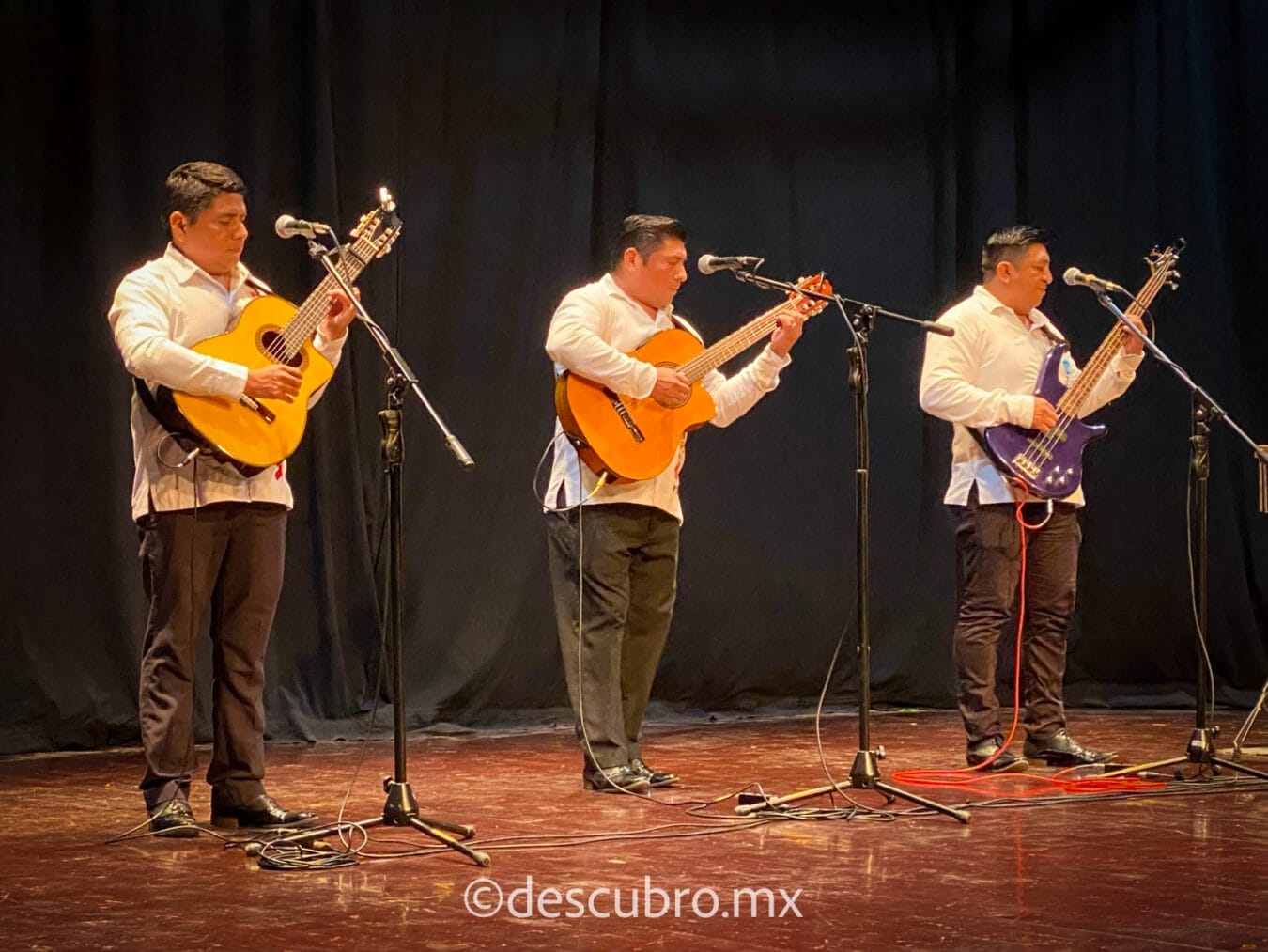 ¿Qué es la trova yucateca? Tradiciones de Yucatán - Descubro