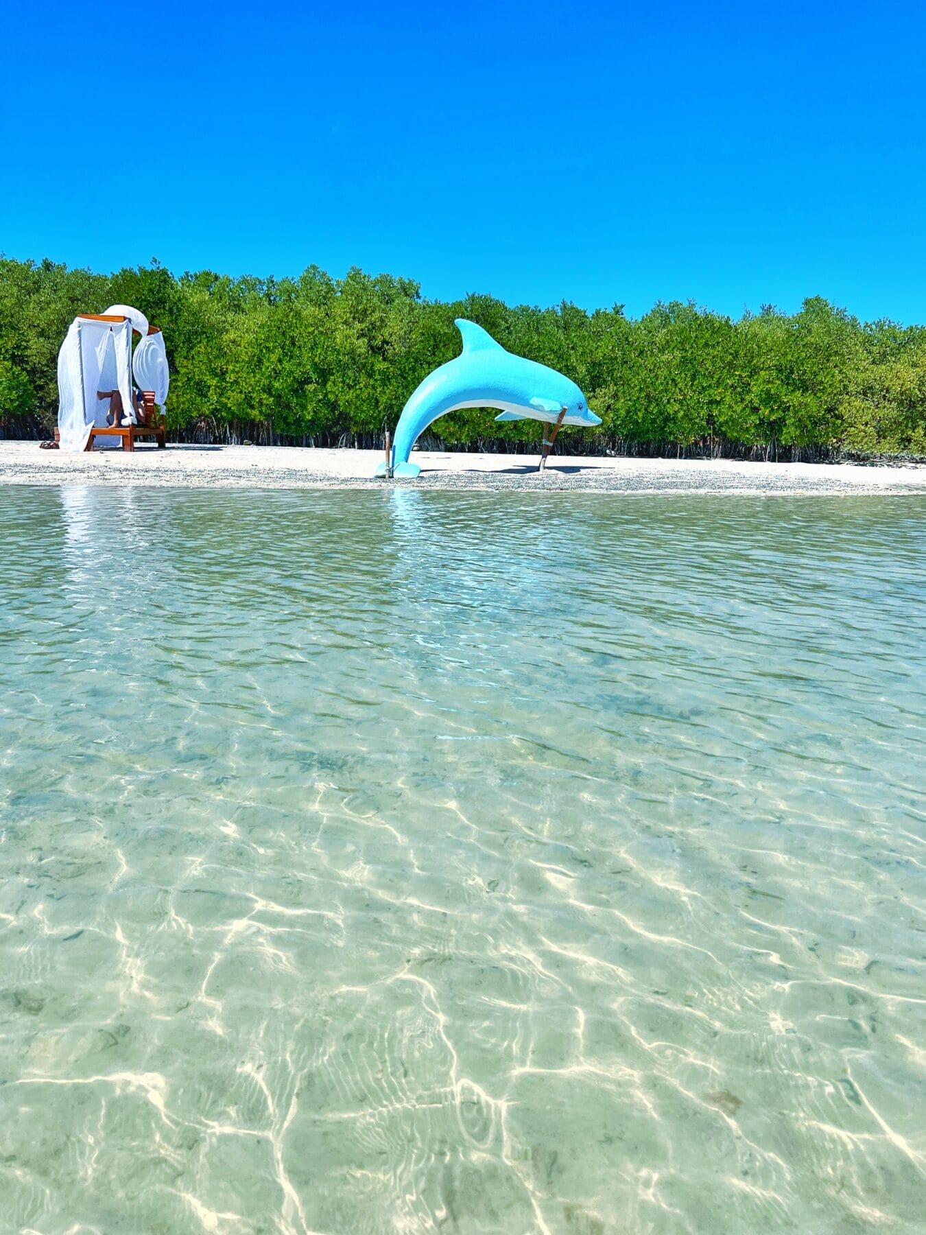 Isla delfines, paraíso en Chuburná, Yucatán