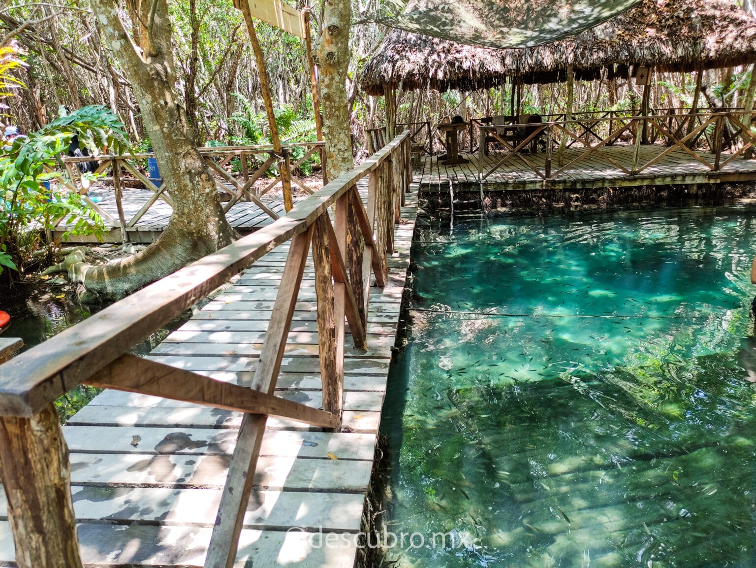 Diferencias entre un río y una ría - Descubro