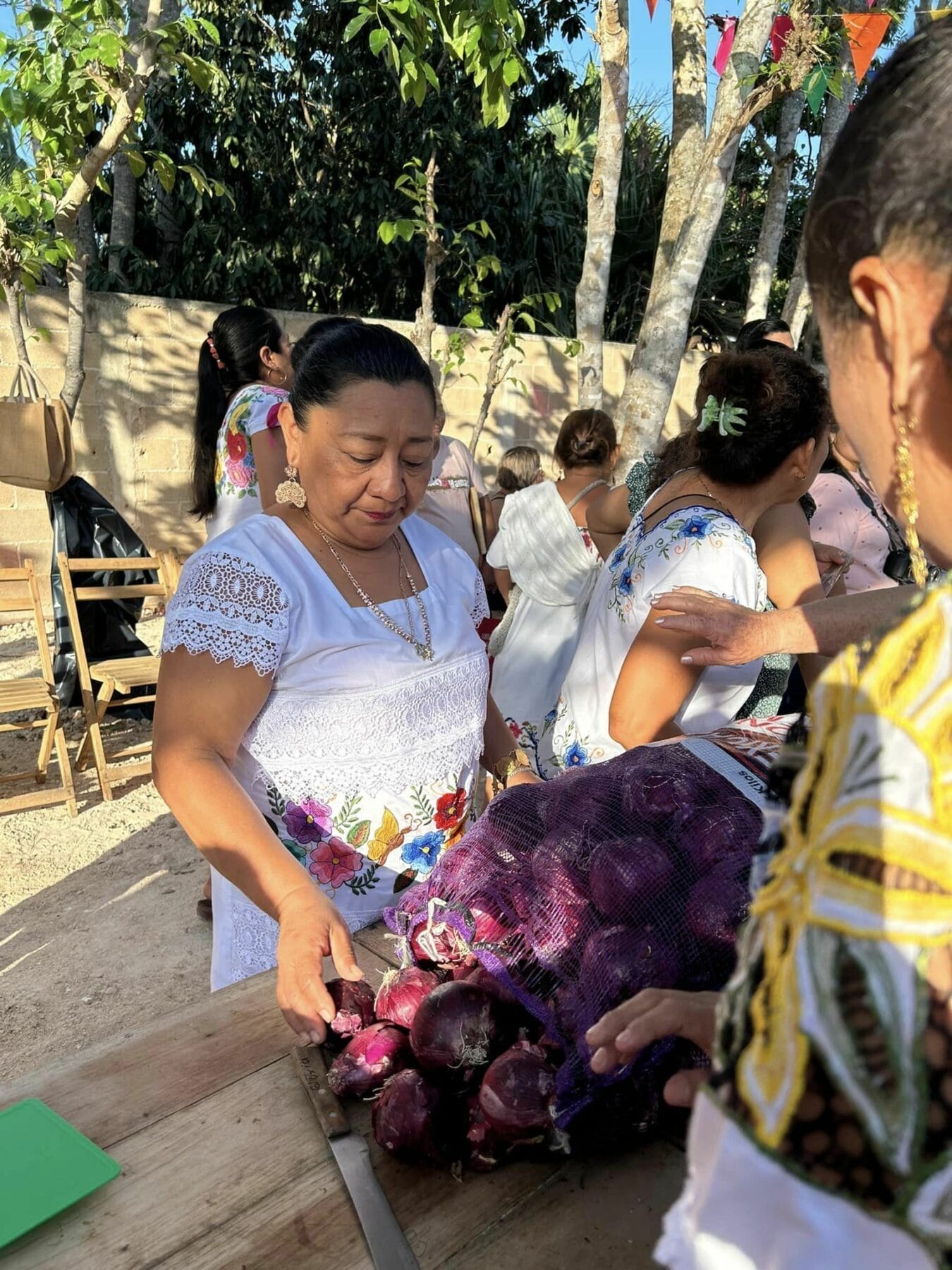 Dzan cebolla, la tradición cultural y religiosa del estado de Yucatán ...