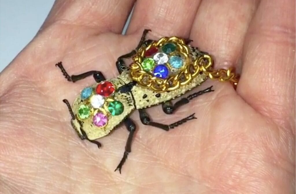 Leyendas cortas: El maquech de Yucatán - Descubro