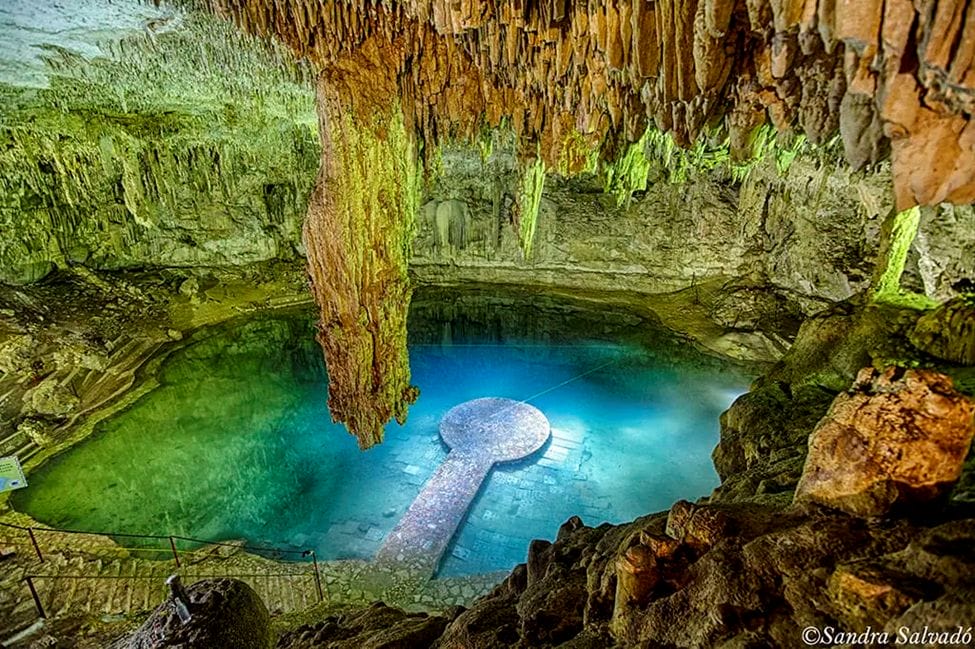 Los Cenotes de Yucatán: Belleza natural y aventura sin Igual - Descubro